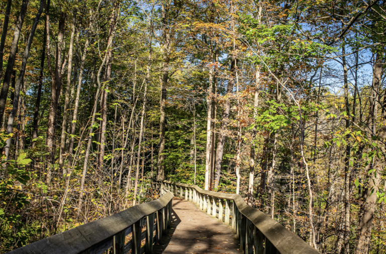 Living in Tallmadge OH 🏡 – COMPLETE Guide to Moving to Tallmadge Ohio